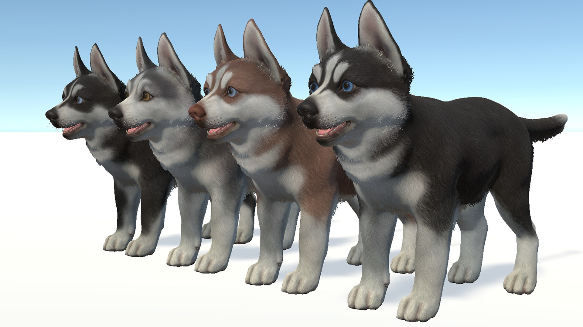 3D Puppy - Husky Model - TurboSquid 2075074