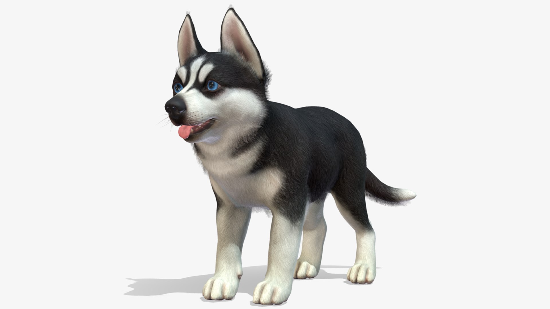 3D Puppy - Husky model - TurboSquid 2075074