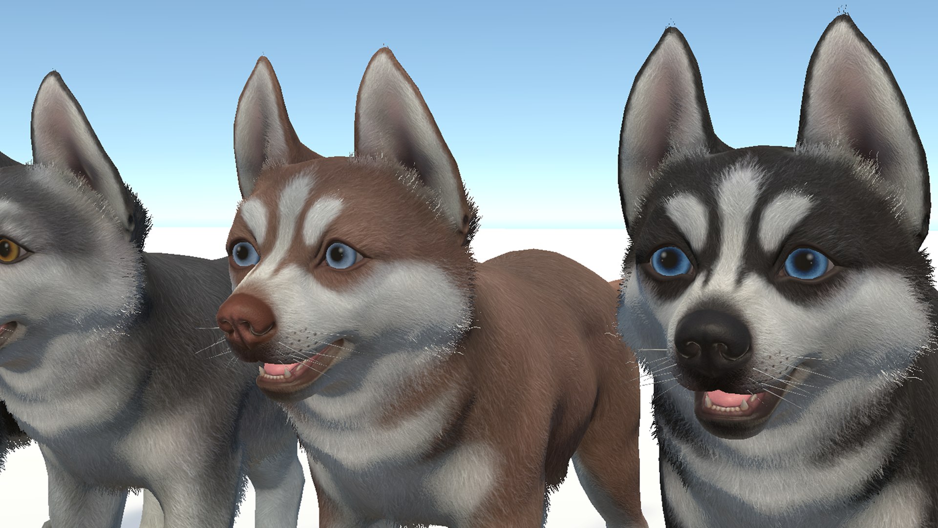 3D Puppy - Husky Model - TurboSquid 2075074