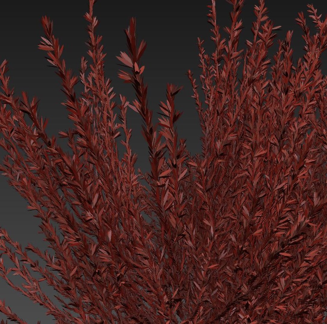 3D Pink-red Heather Model - TurboSquid 1178826