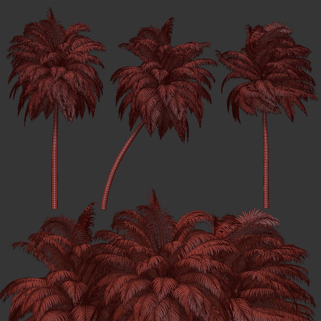 Palm Trees Collection 195 3D - TurboSquid 2042373