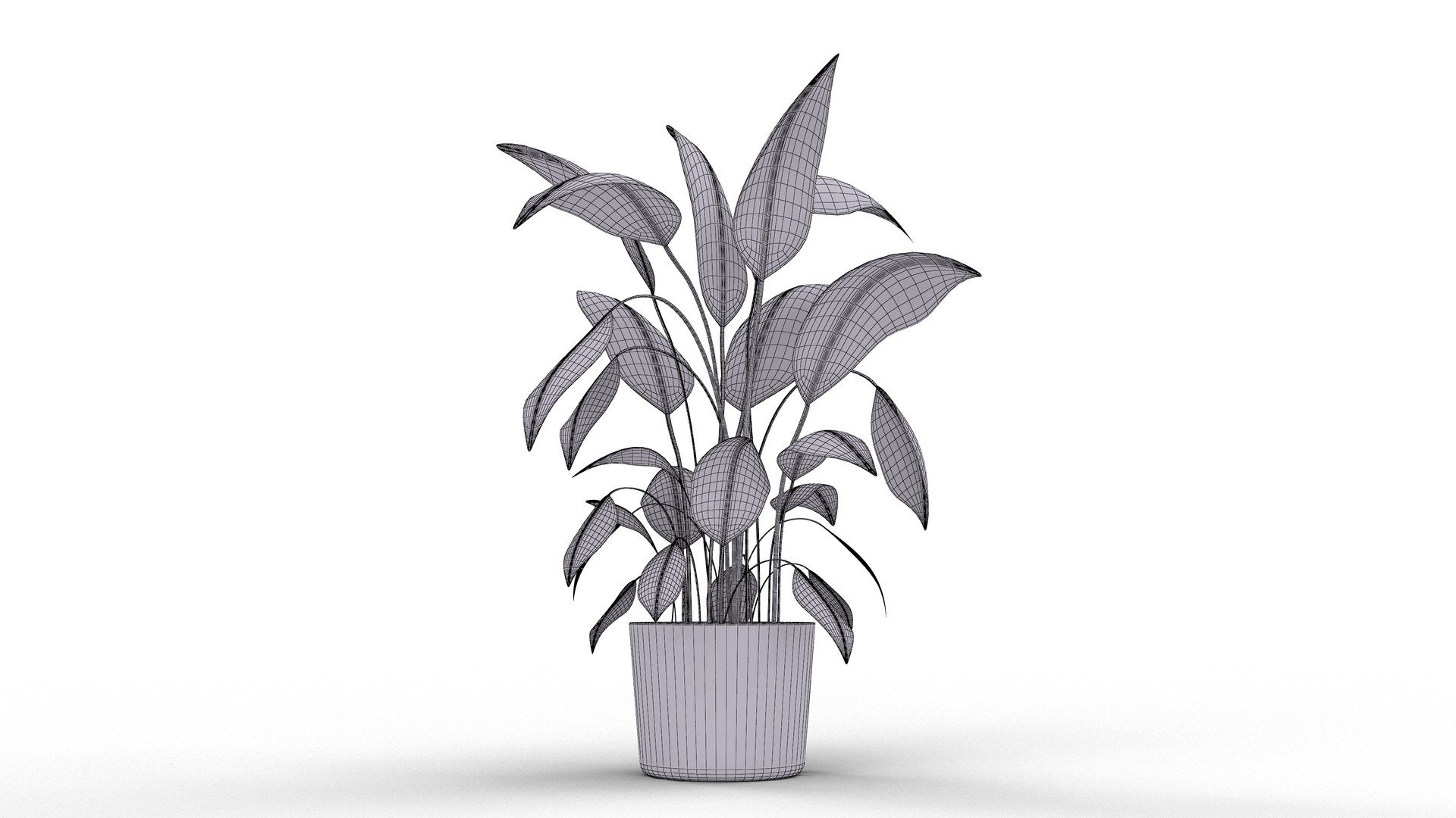 Plant 3D Model - TurboSquid 2007329