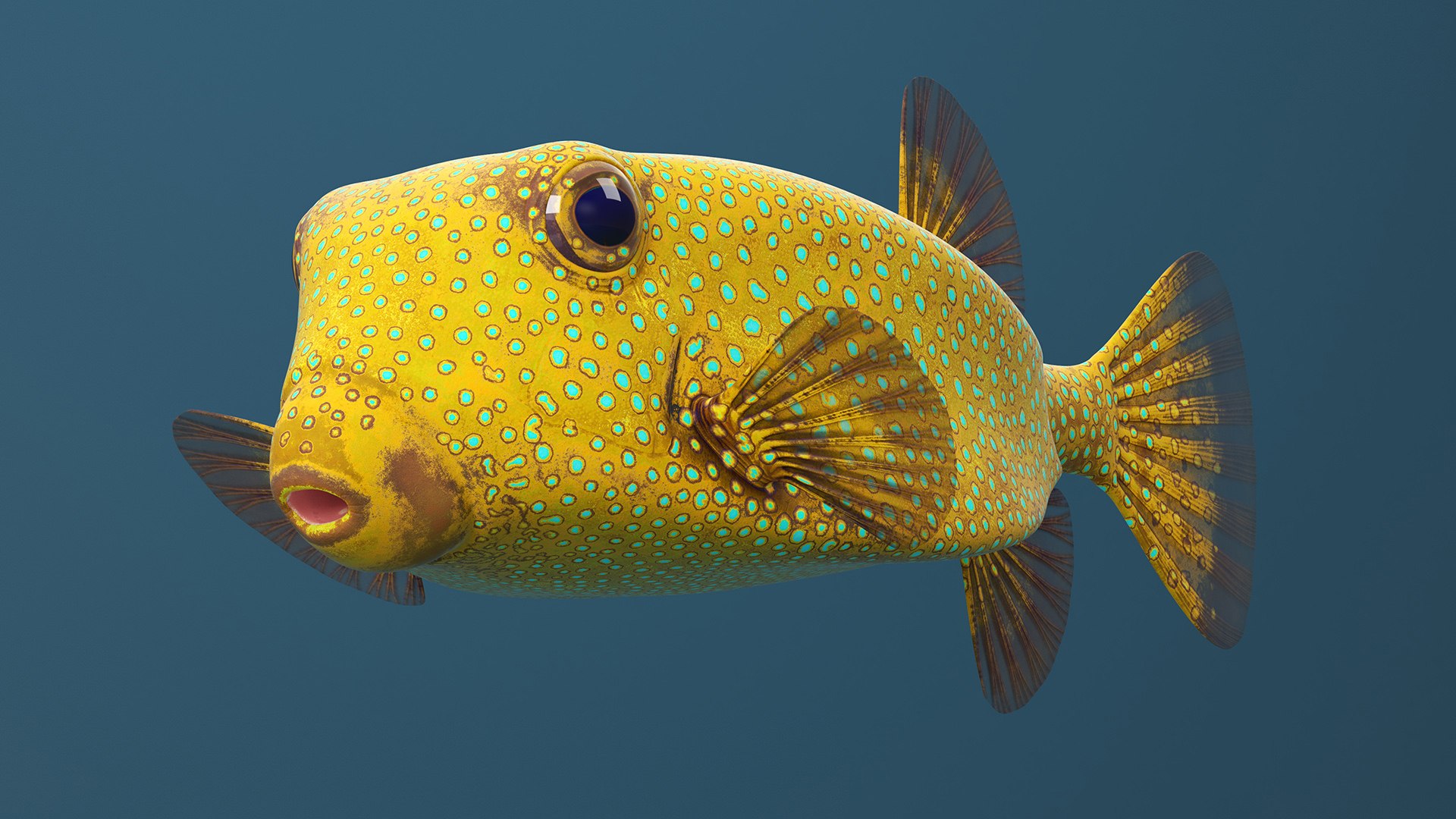 3D Yellow Spotted Boxfish Rigged Model - TurboSquid 2307913