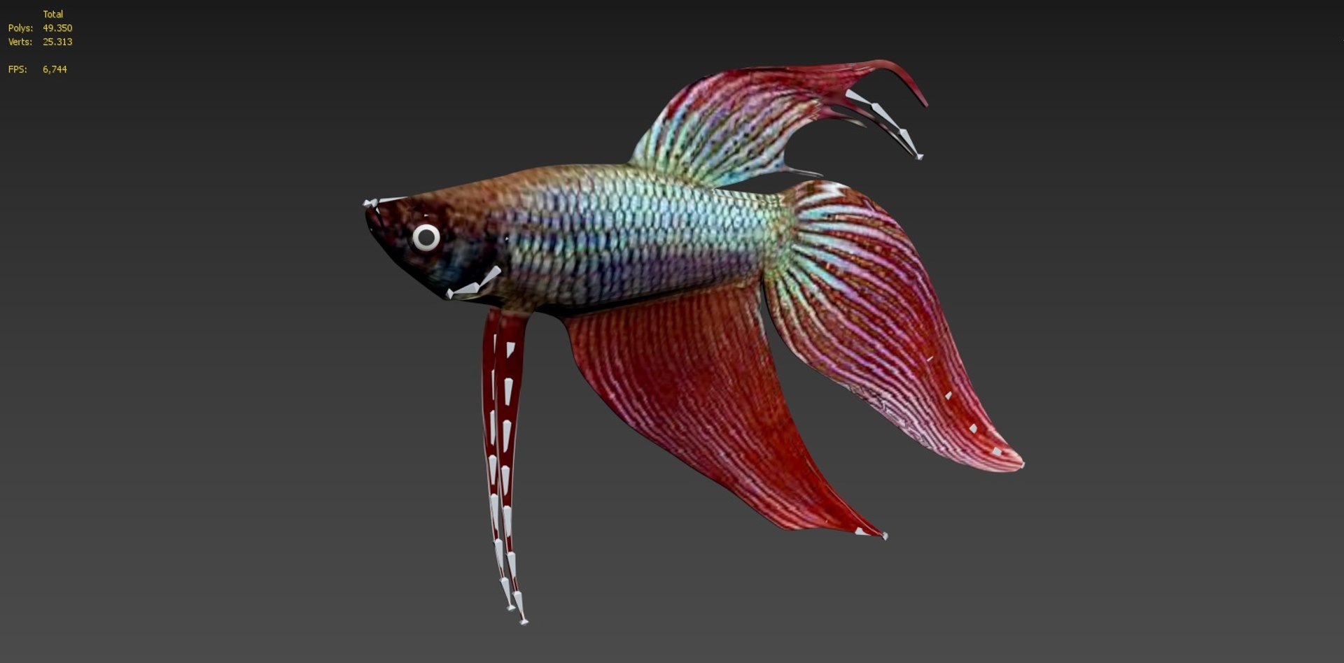 3D Beta Fish - TurboSquid 1470681