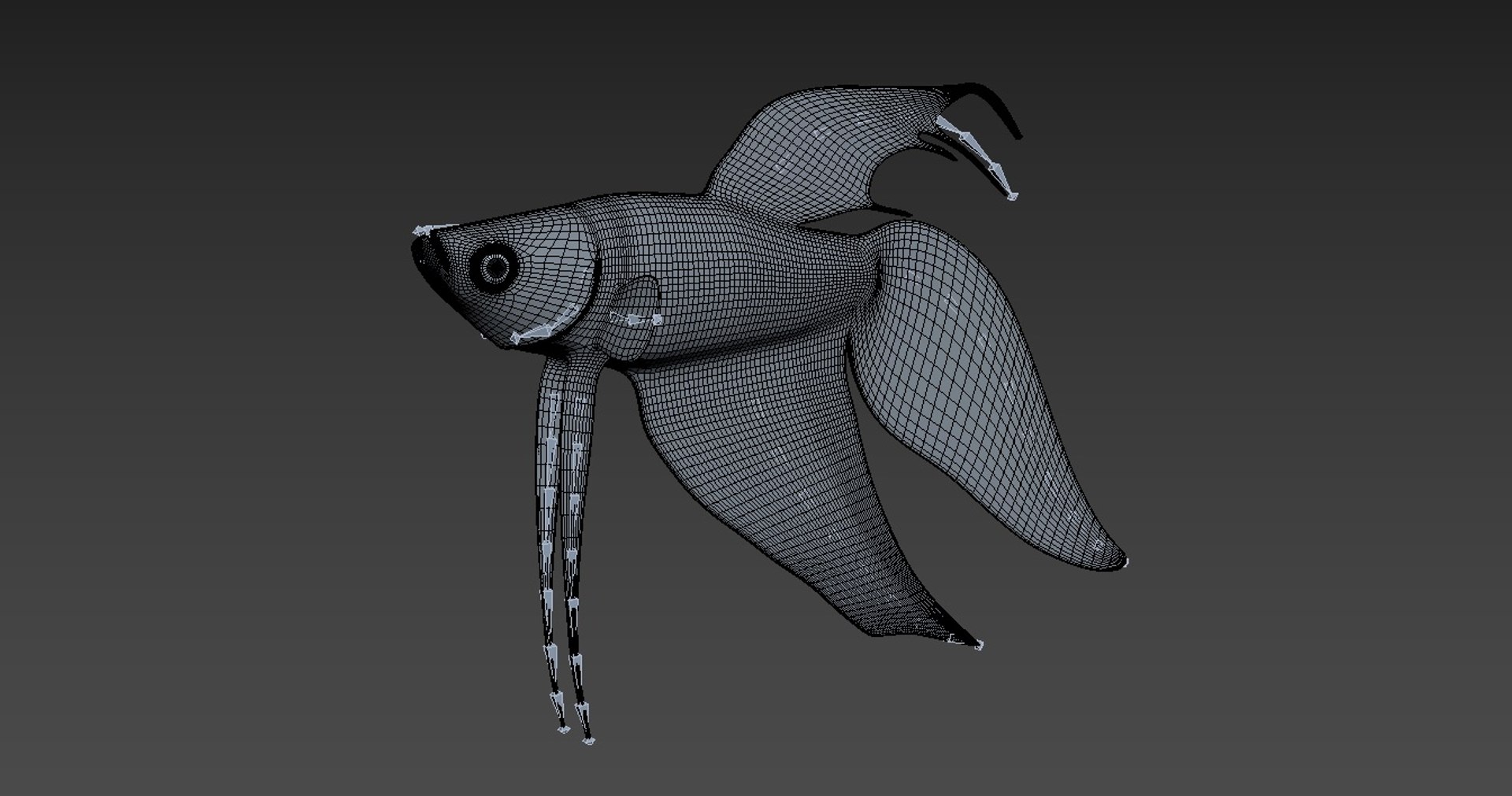 3D Beta Fish - TurboSquid 1470681