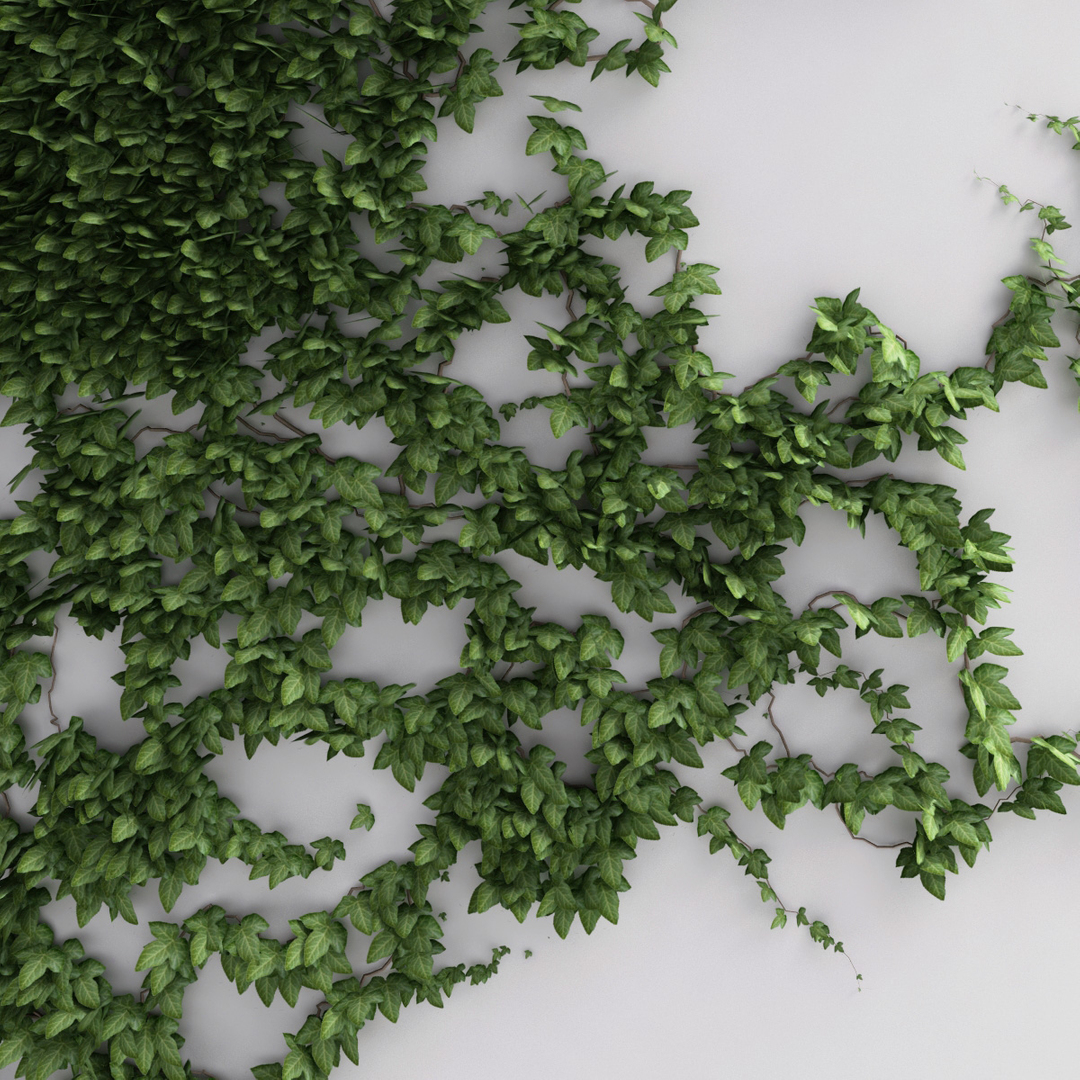 3ds max ivy v3