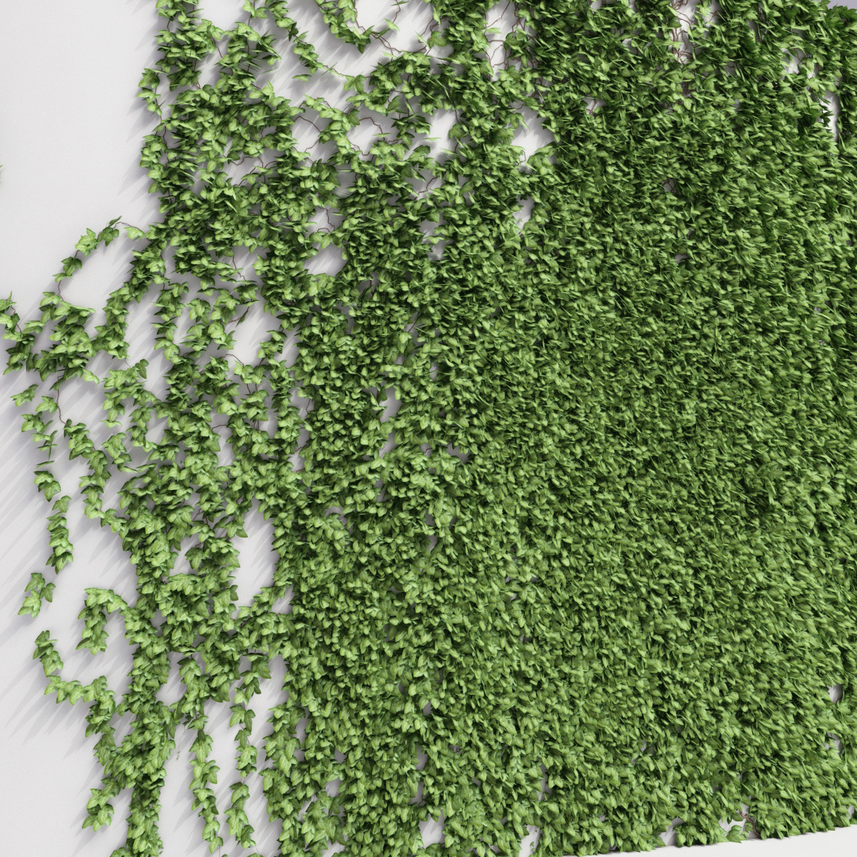 3ds max ivy v3