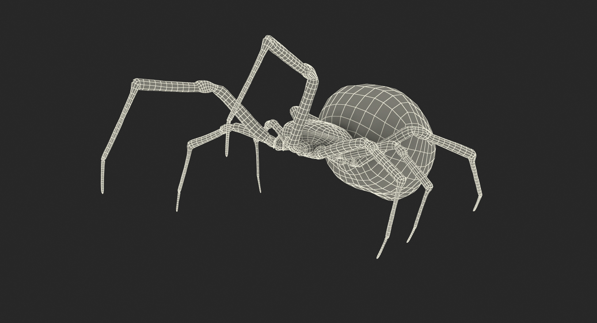 Widow Spider Fighting Pose 3D Model - TurboSquid 1164258