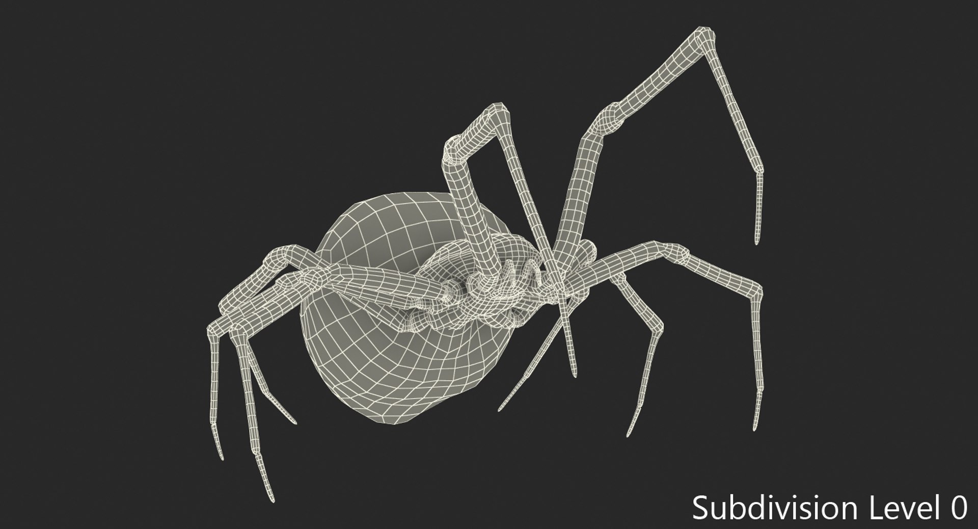 Widow Spider Fighting Pose 3D Model - TurboSquid 1164258