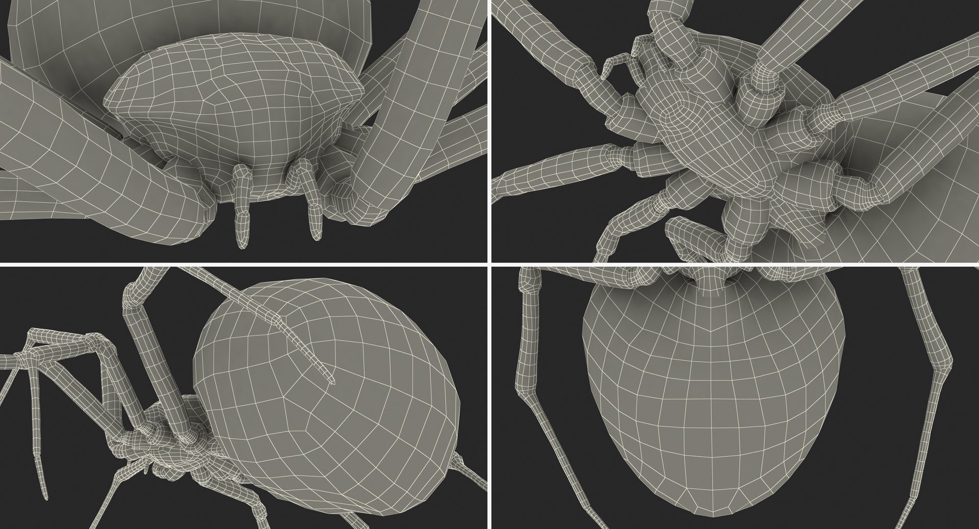 Widow spider fighting pose 3D model - TurboSquid 1164258