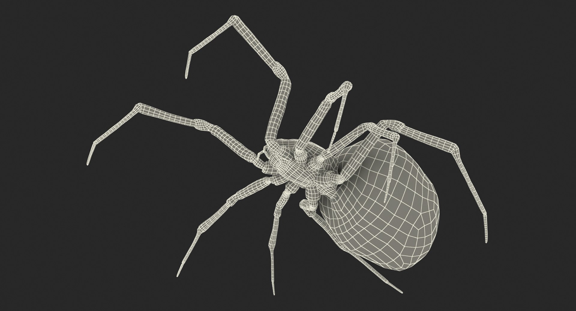 Widow spider fighting pose 3D model - TurboSquid 1164258