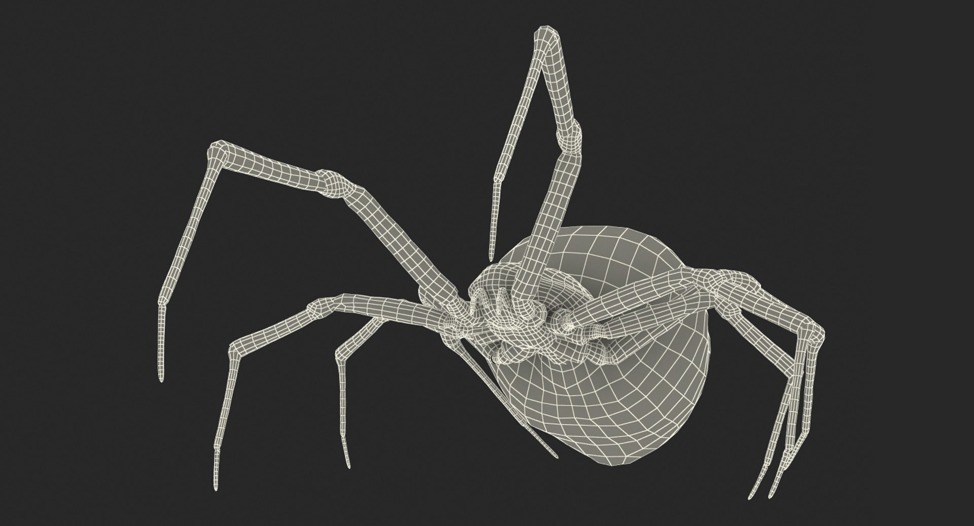 Widow spider fighting pose 3D model - TurboSquid 1164258