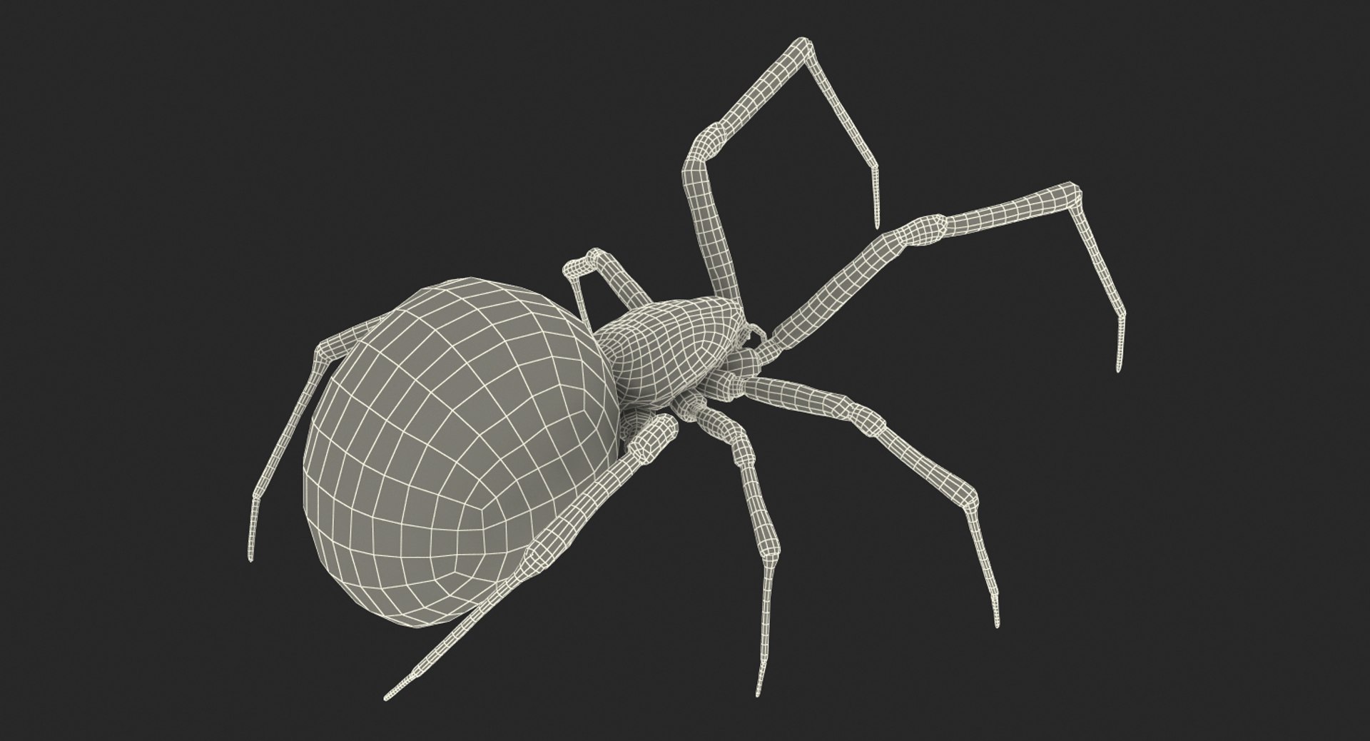 Widow spider fighting pose 3D model - TurboSquid 1164258