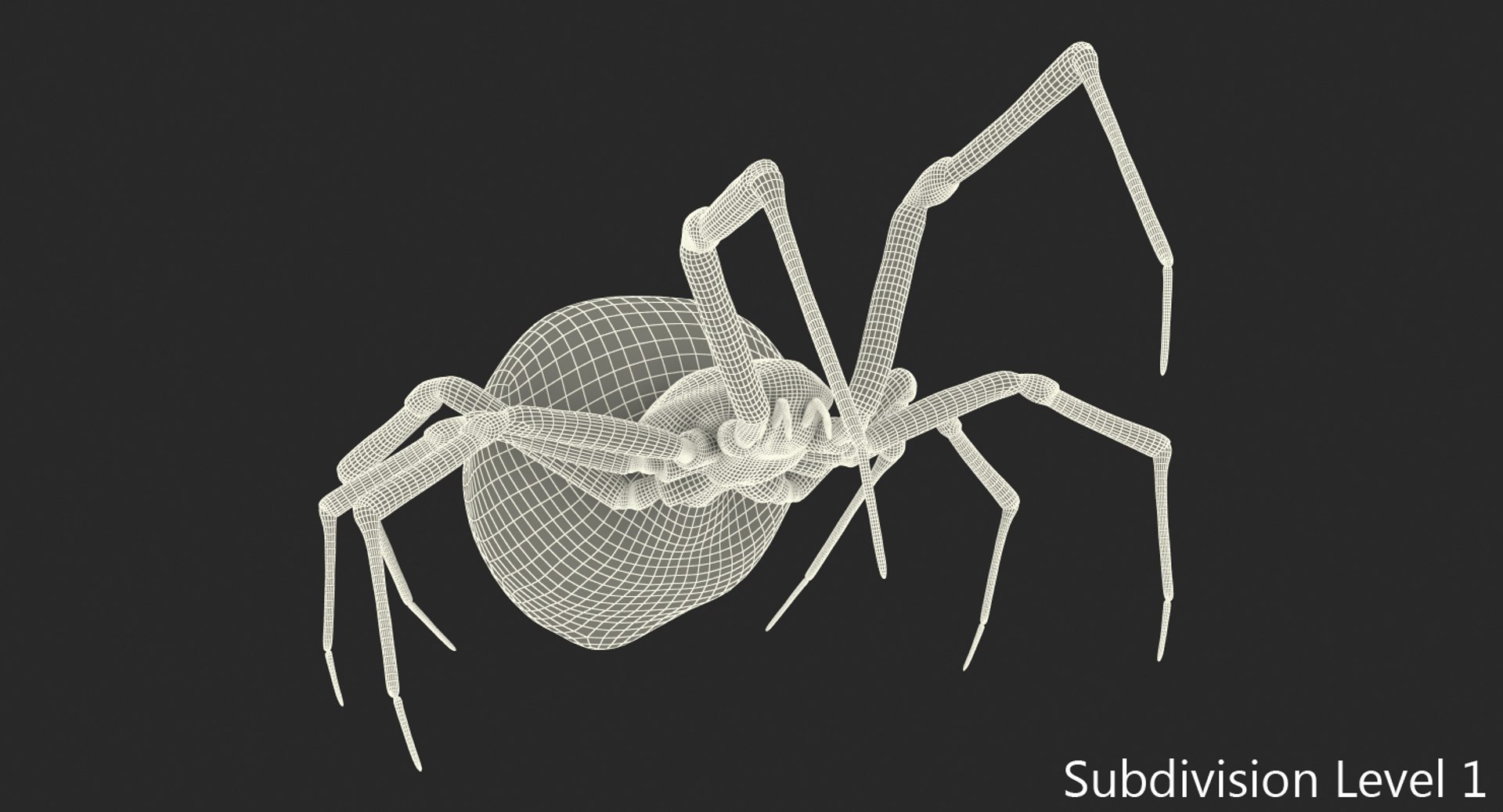 Widow Spider Fighting Pose 3D Model - TurboSquid 1164258