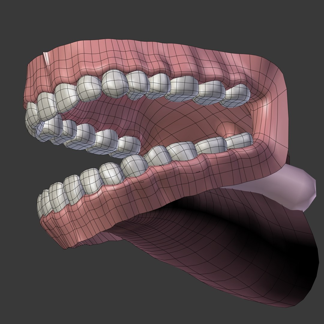 Dent dentures mouth 3D model - TurboSquid 1354970