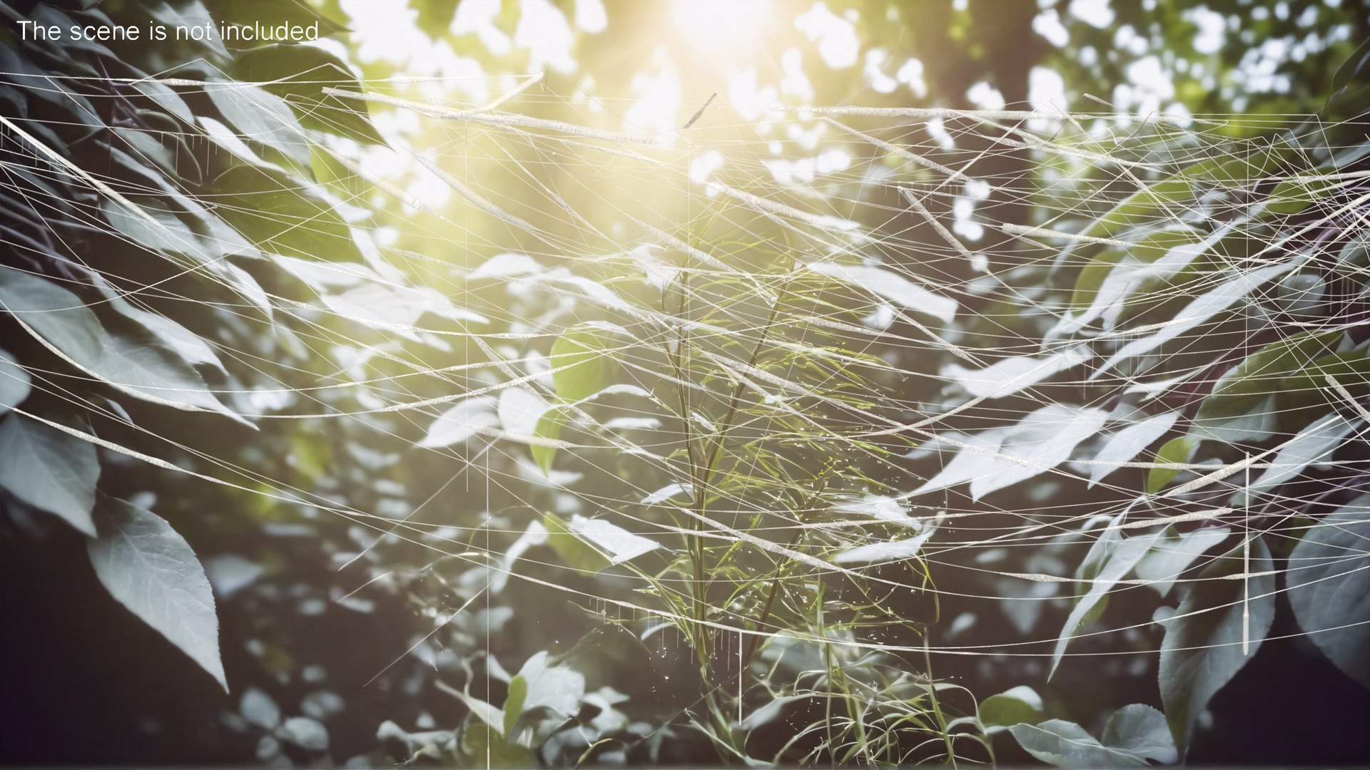 Hanging Corner Web 3D Model - TurboSquid 2206771