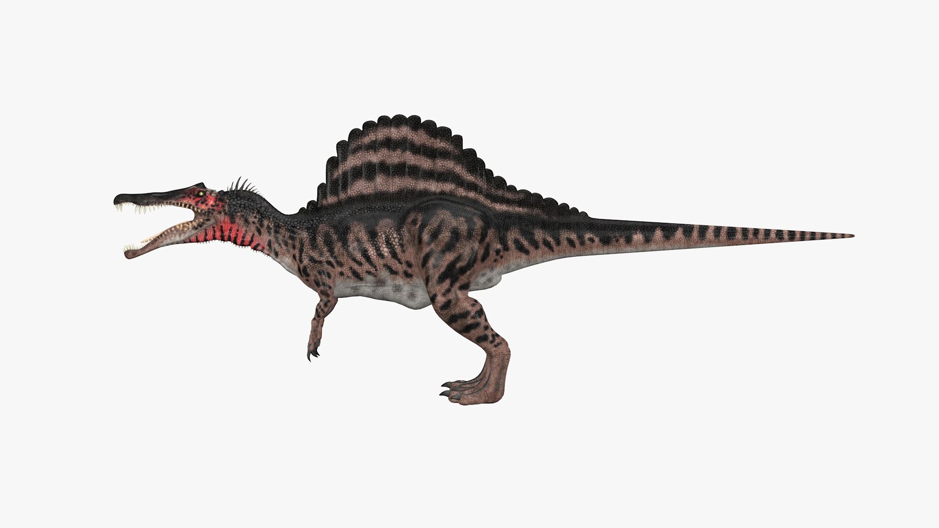 3D Spinosaurus Dinosaur Model - TurboSquid 2365903