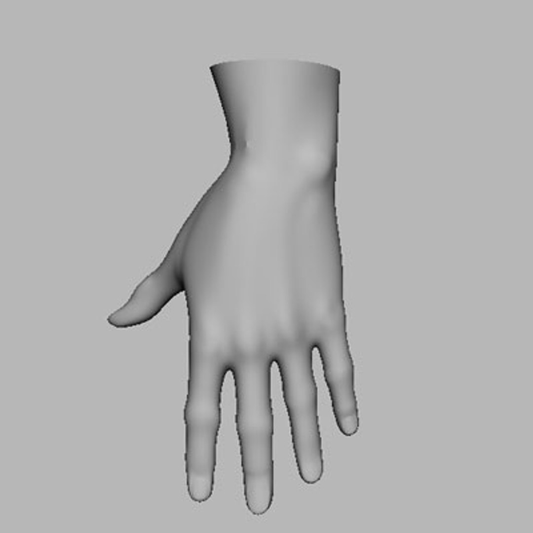 Human Hand 3d Model