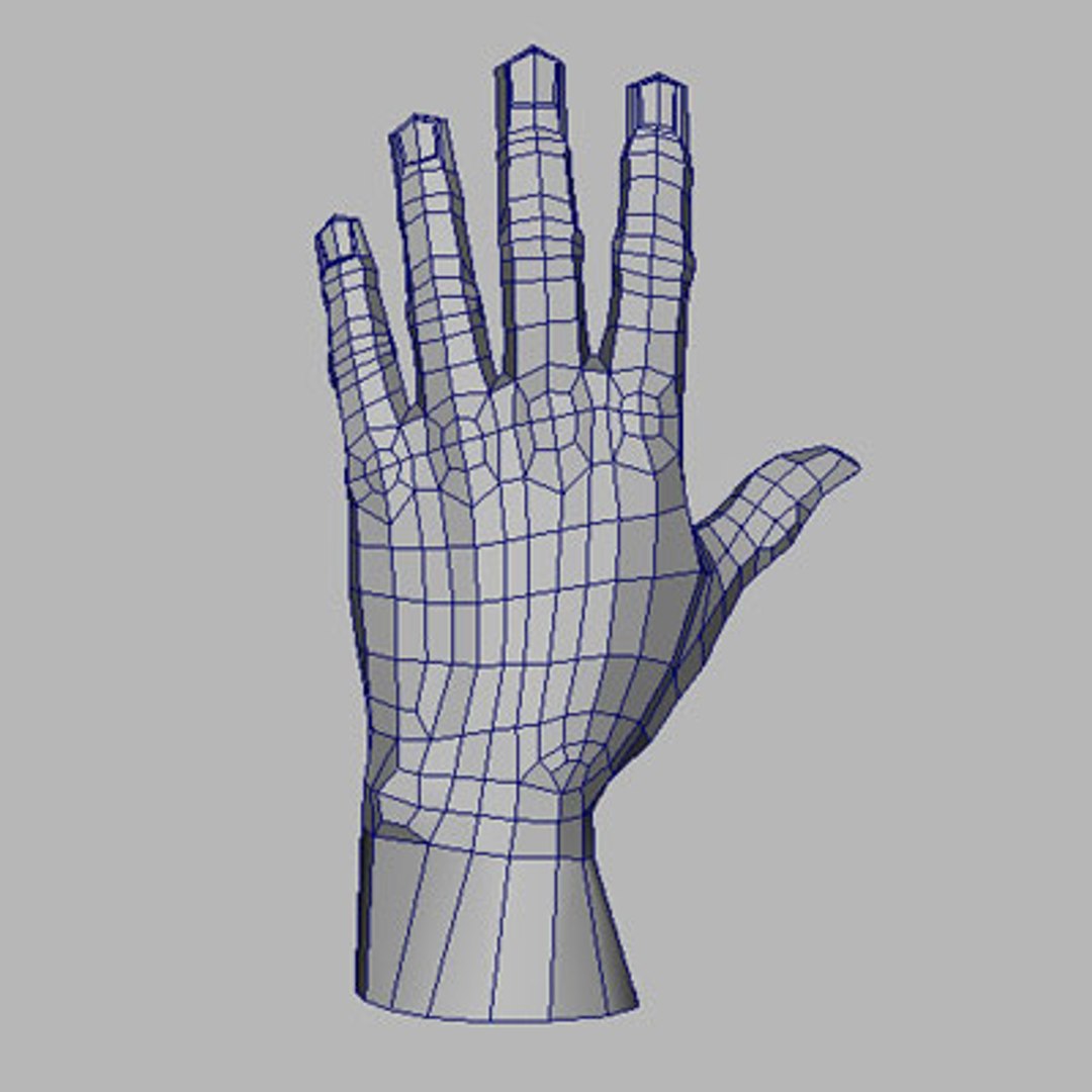 Human Hand 3d Model