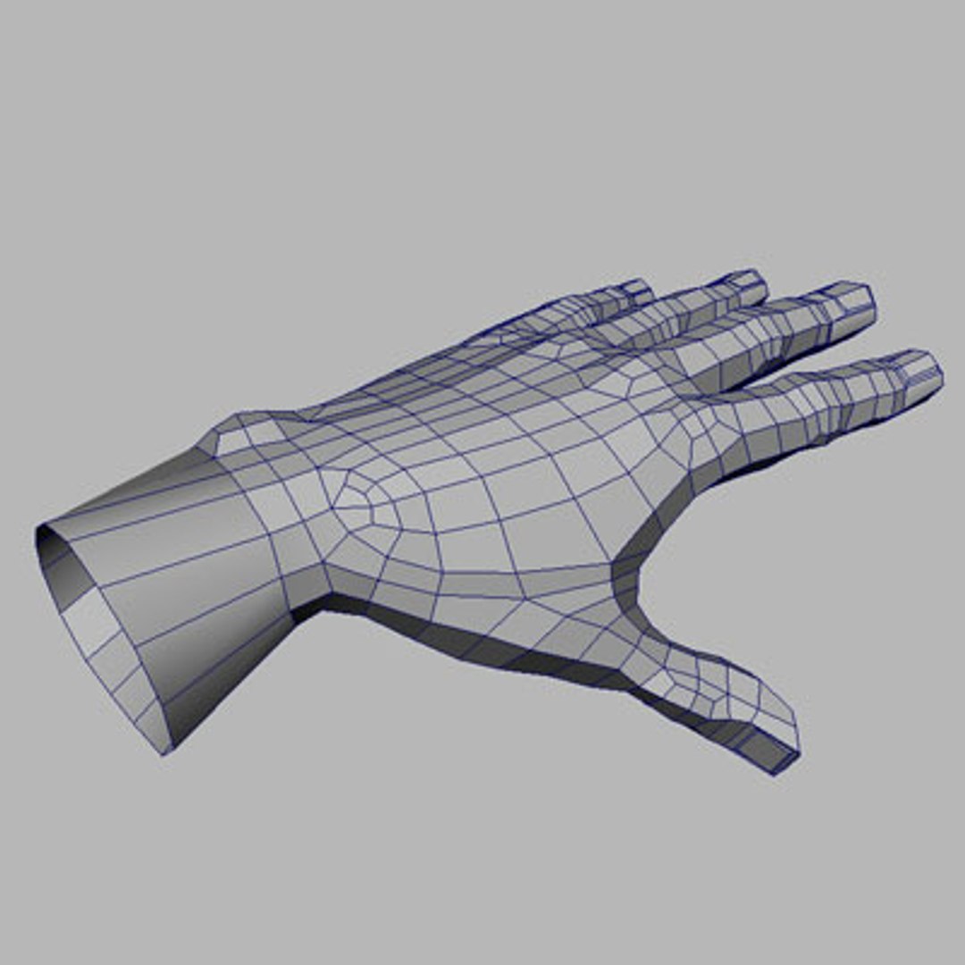 Human Hand 3d Model