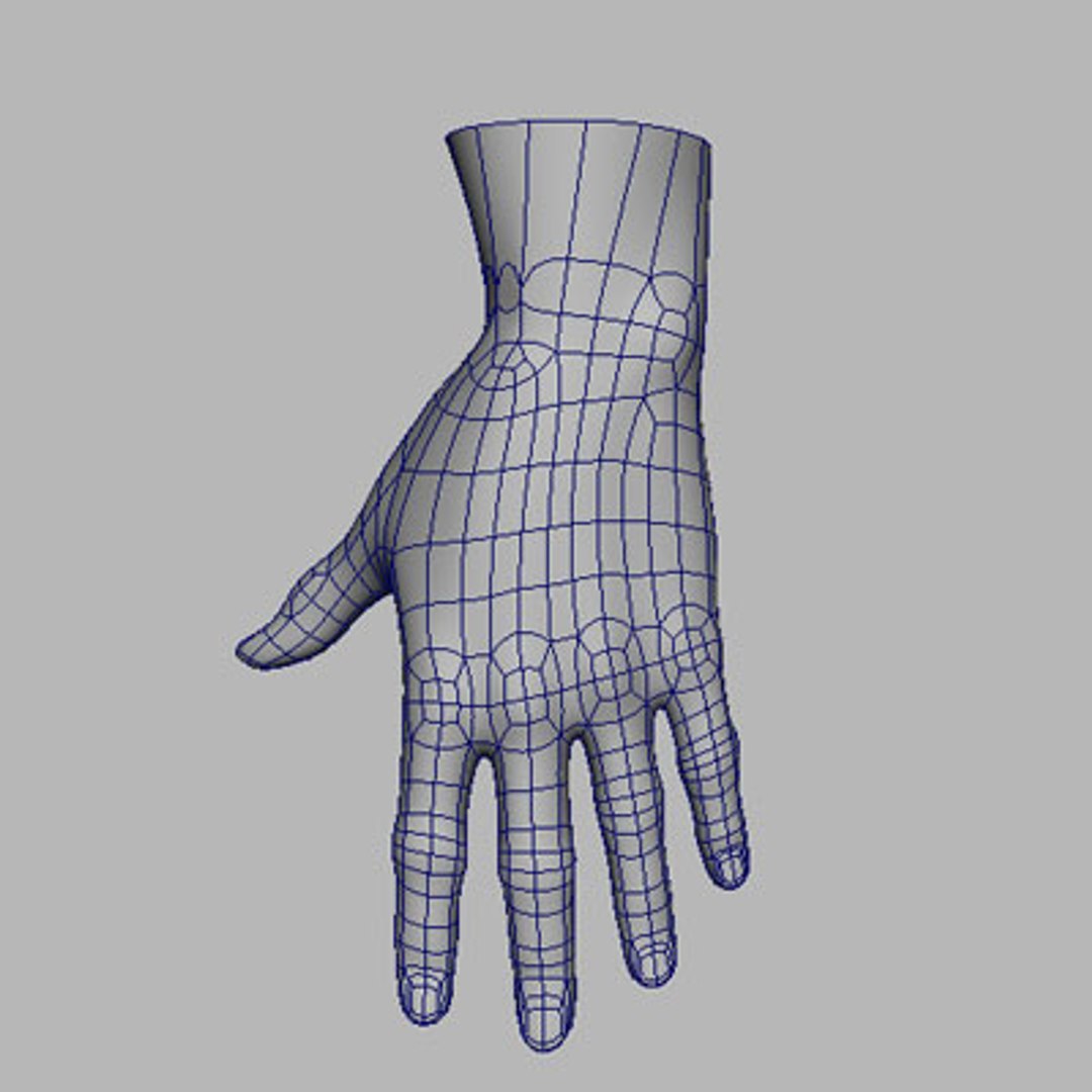 Human Hand 3d Model