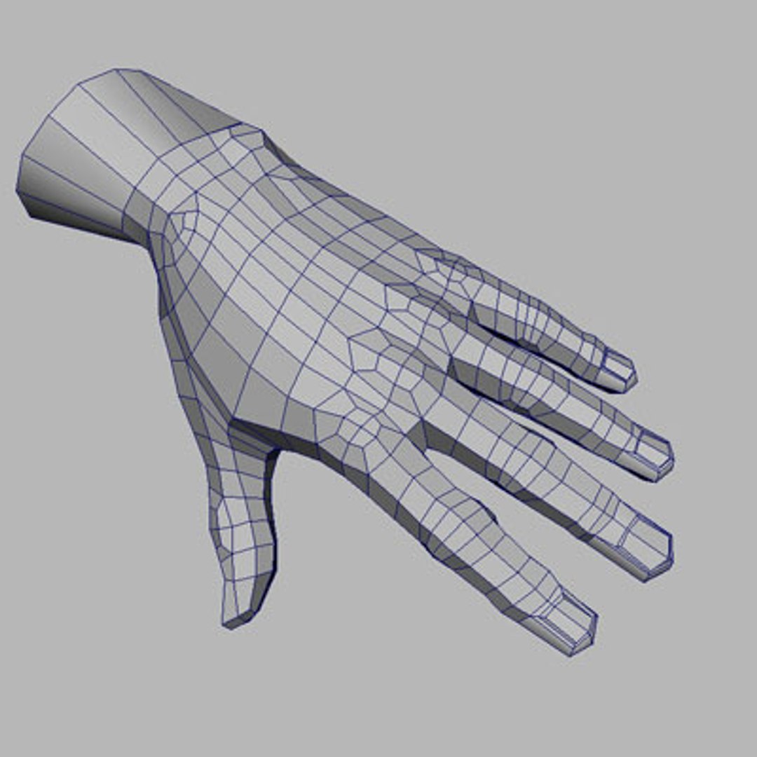 Human Hand 3d Model