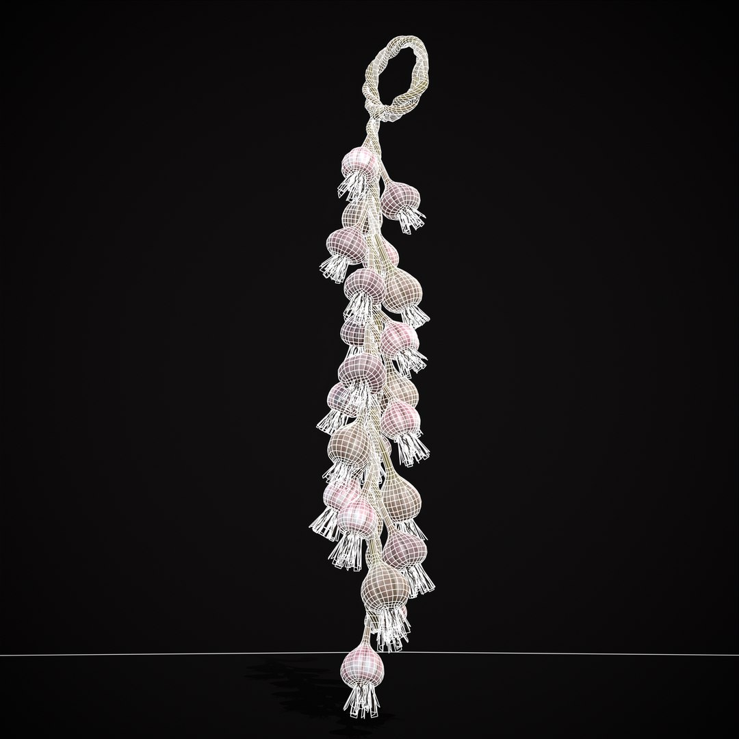 3D Hanging Garlic - TurboSquid 2202917