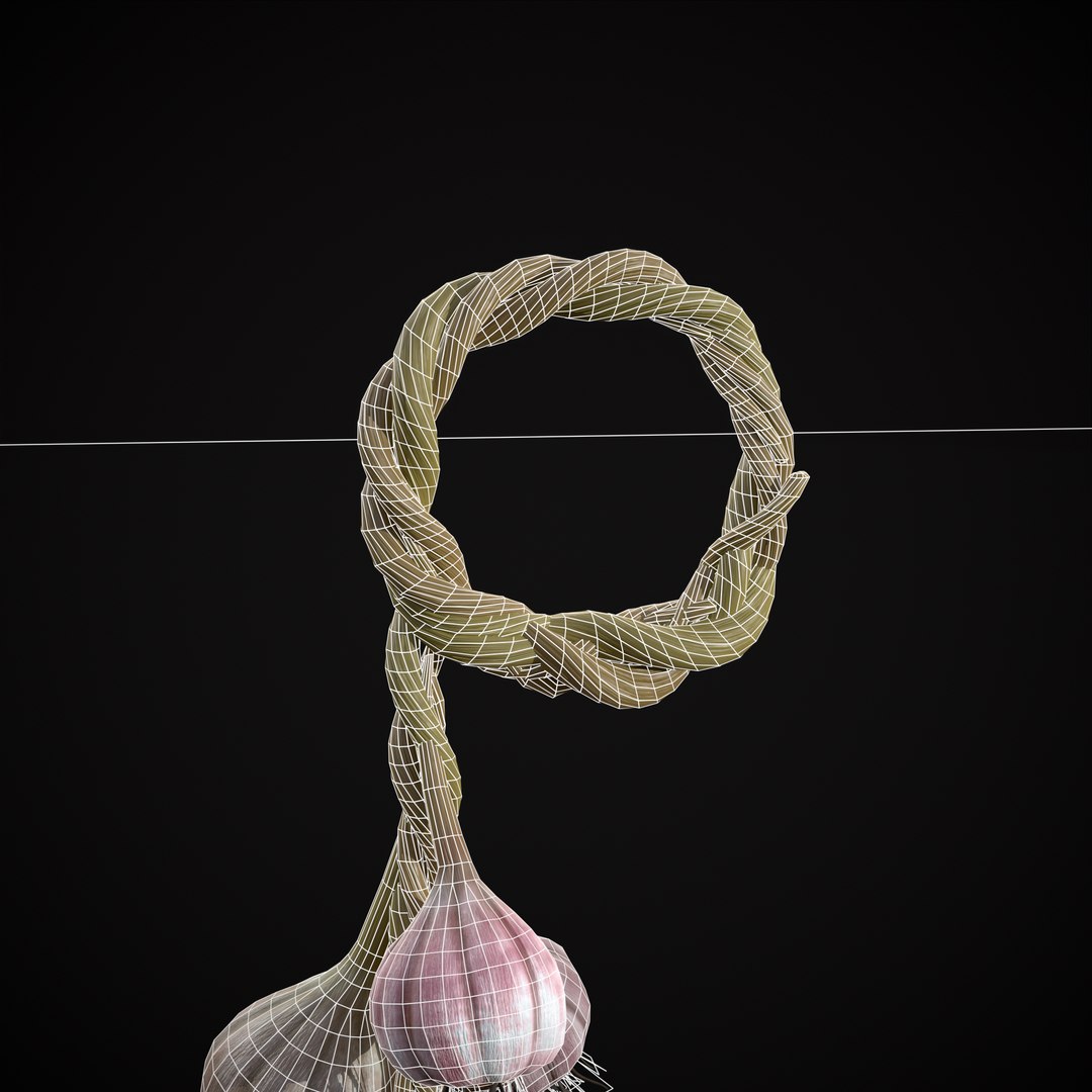 3D Hanging Garlic - TurboSquid 2202917
