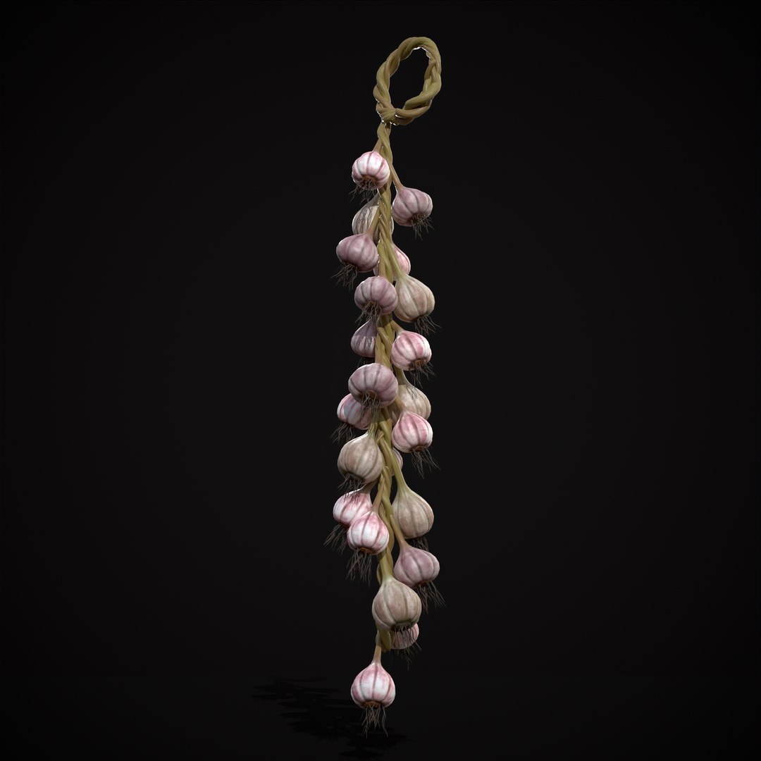 3D Hanging Garlic - TurboSquid 2202917