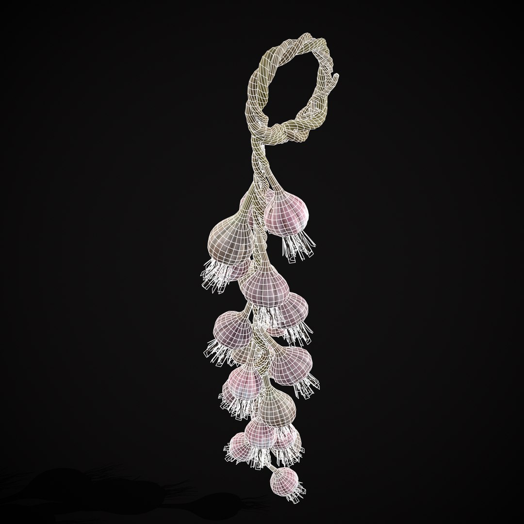 3D Hanging Garlic - TurboSquid 2202917