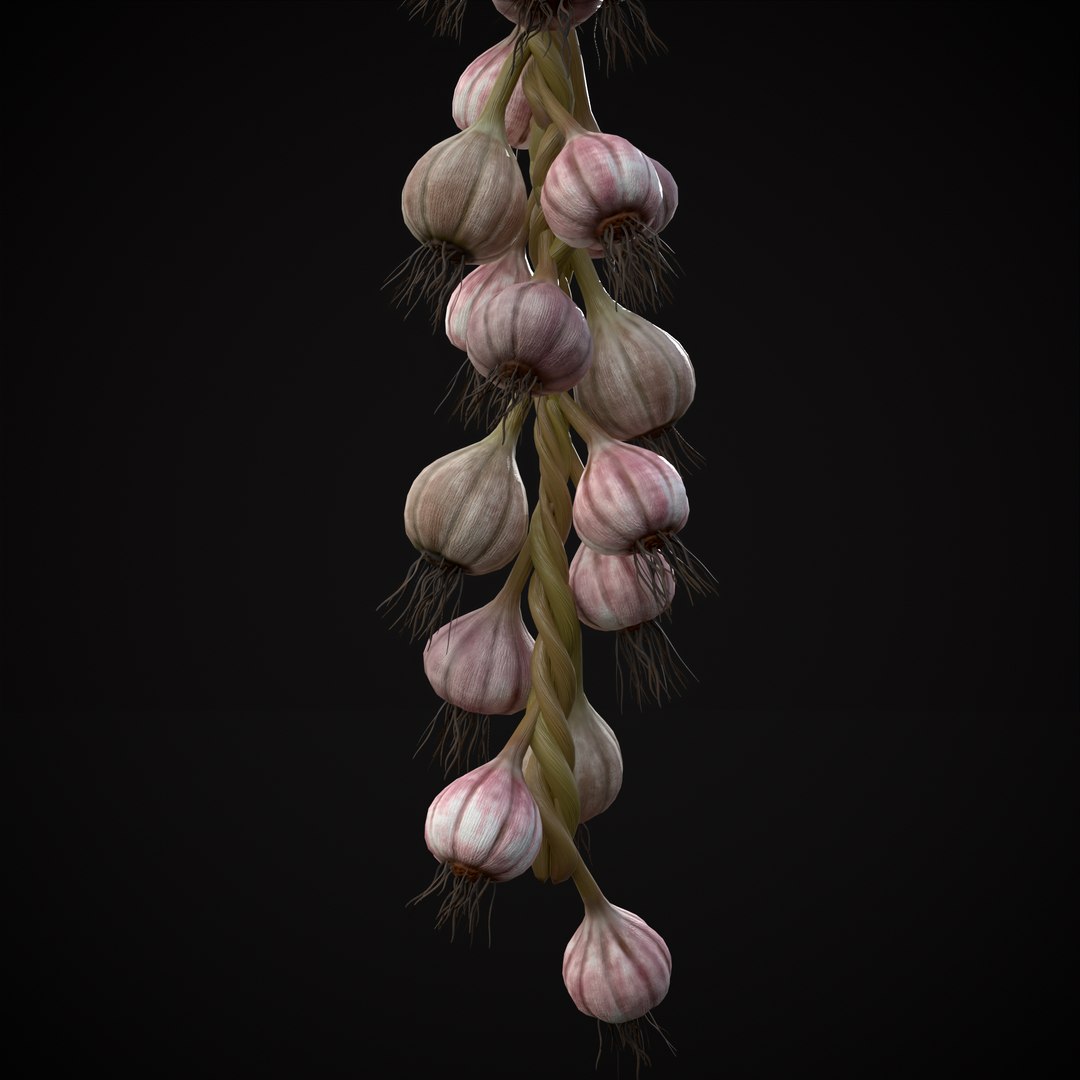 3D Hanging Garlic - TurboSquid 2202917