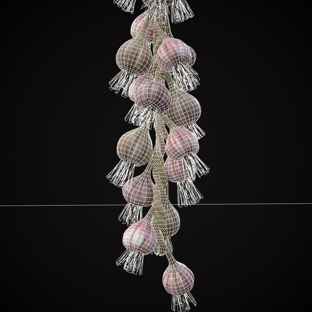 3D Hanging Garlic - TurboSquid 2202917
