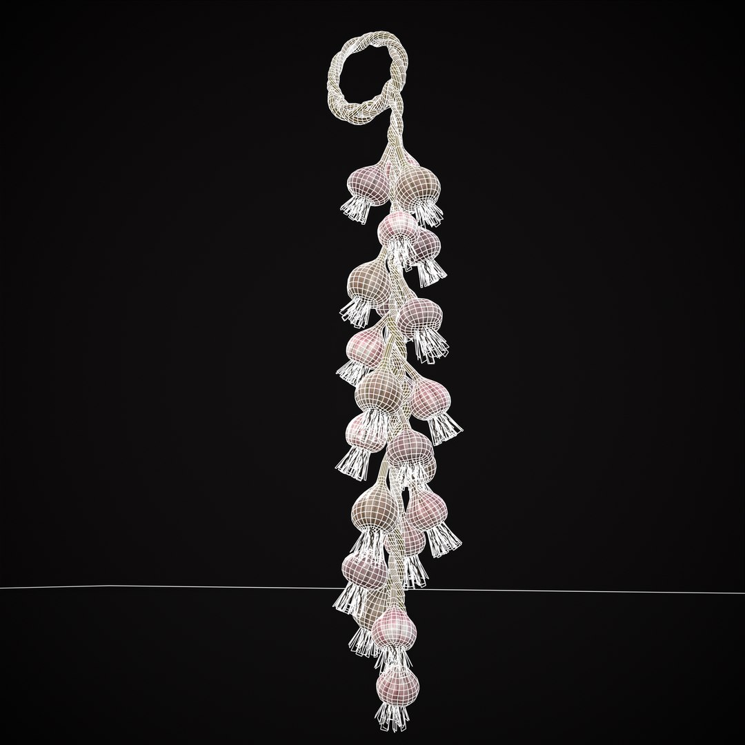 3D Hanging Garlic - TurboSquid 2202917