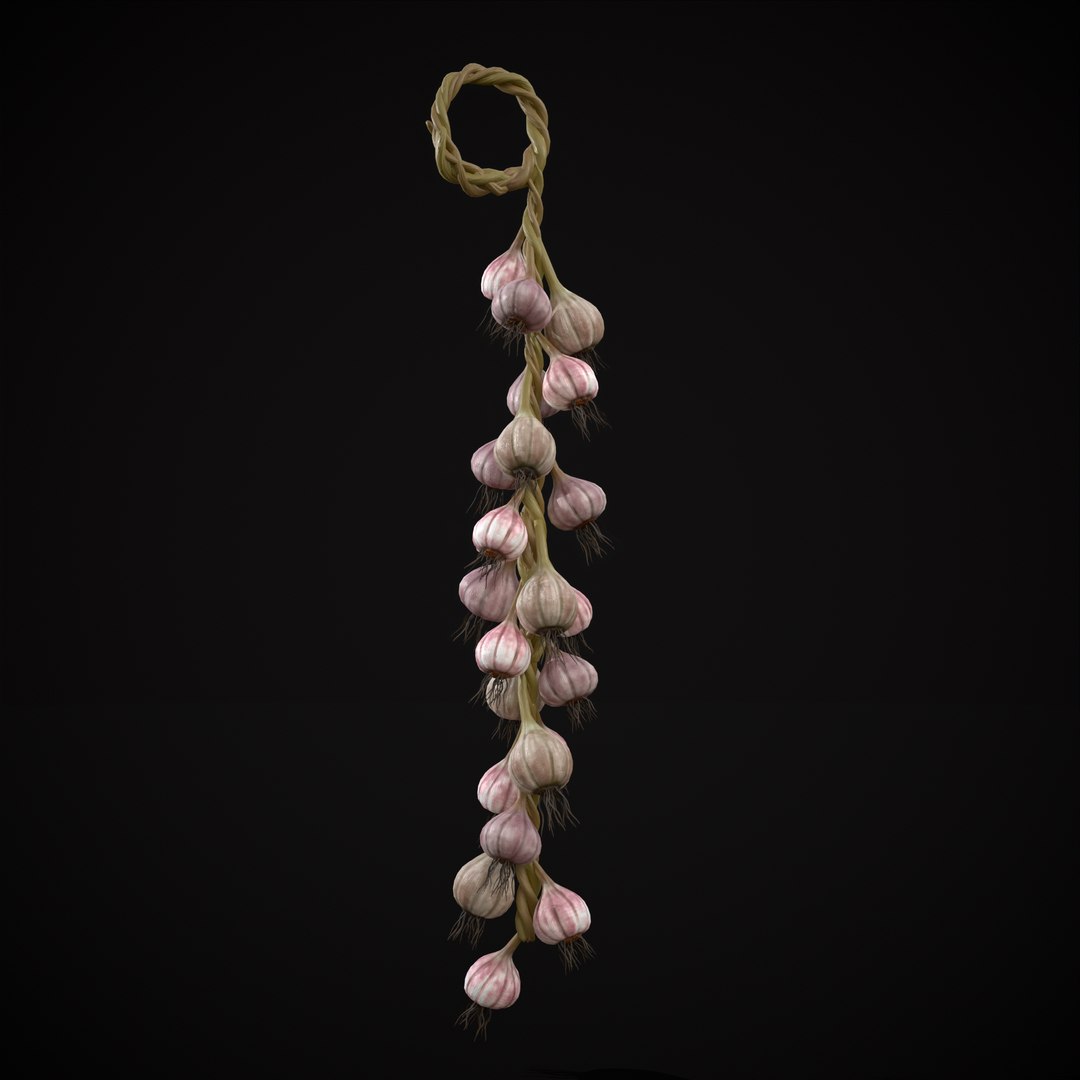 3D Hanging Garlic - TurboSquid 2202917