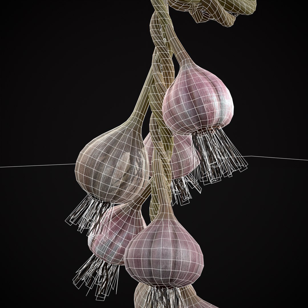 3D Hanging Garlic - TurboSquid 2202917