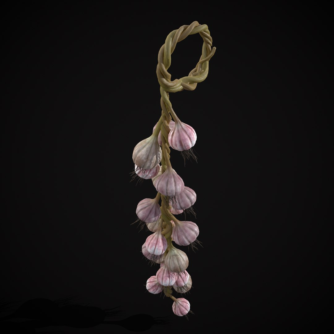 3D Hanging Garlic - TurboSquid 2202917