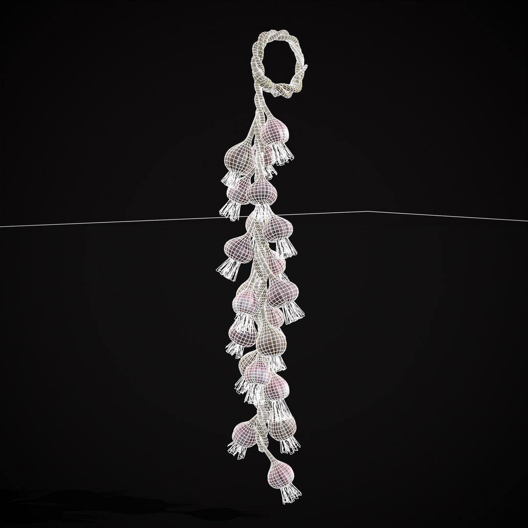 3D Hanging Garlic - TurboSquid 2202917