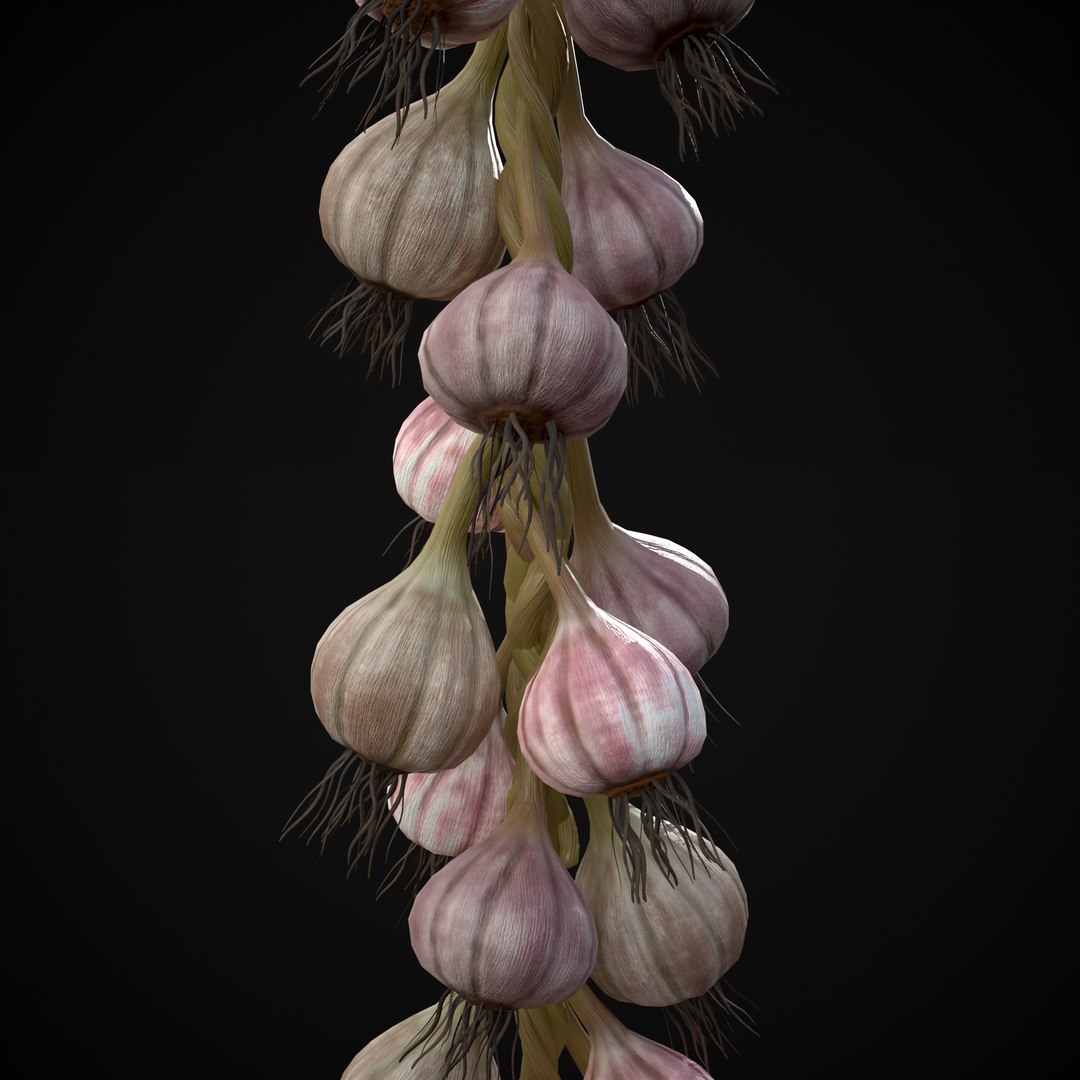 3D Hanging Garlic - TurboSquid 2202917