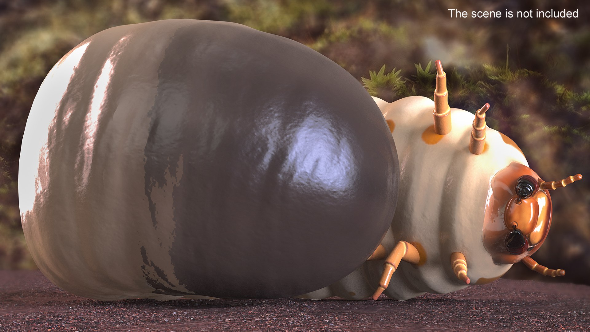 Maggot May Bug Curled 3D Model - TurboSquid 2167302