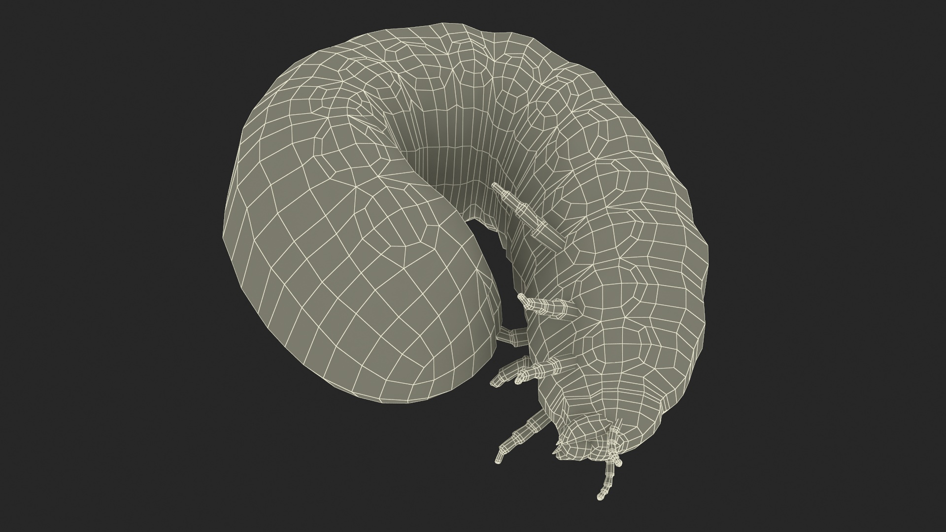 Maggot May Bug Curled 3D Model - TurboSquid 2167302