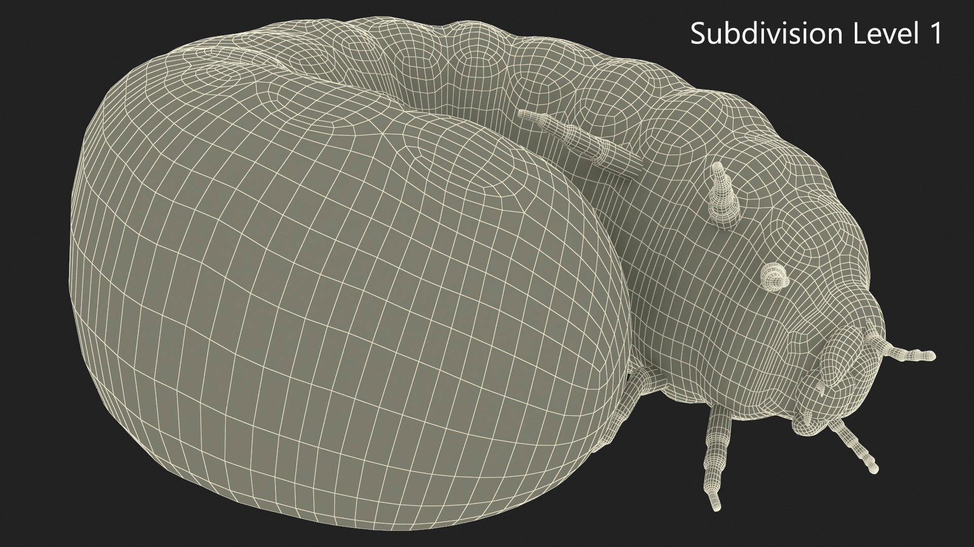 Maggot May Bug Curled 3D Model - TurboSquid 2167302