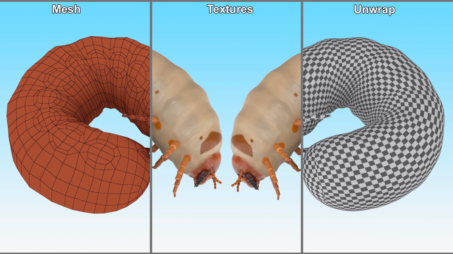 Maggot May Bug Curled 3D Model - TurboSquid 2167302