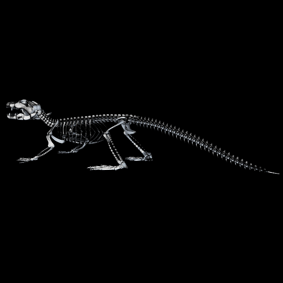crocodile skeleton 3d max