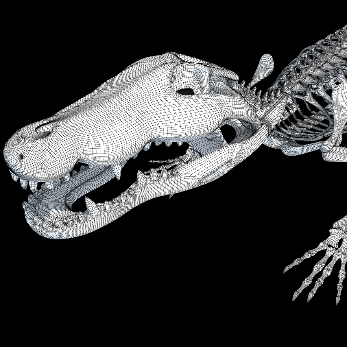 crocodile skeleton 3d max