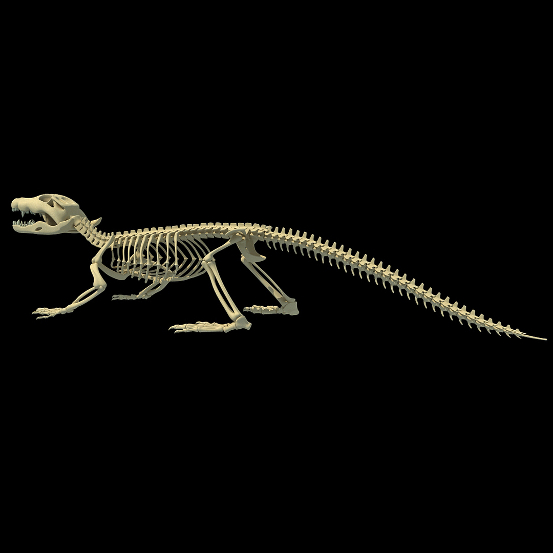 crocodile skeleton 3d max