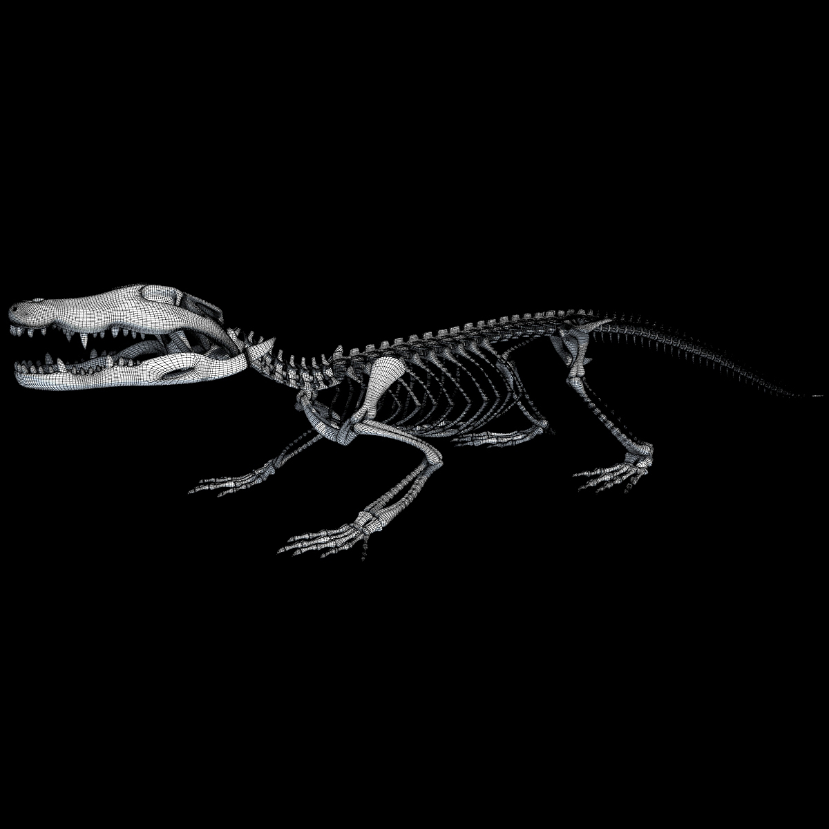crocodile skeleton 3d max