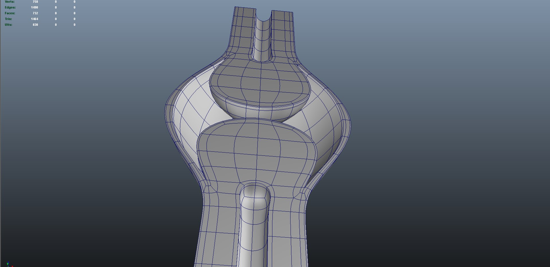 3d Bone Anatomy Model