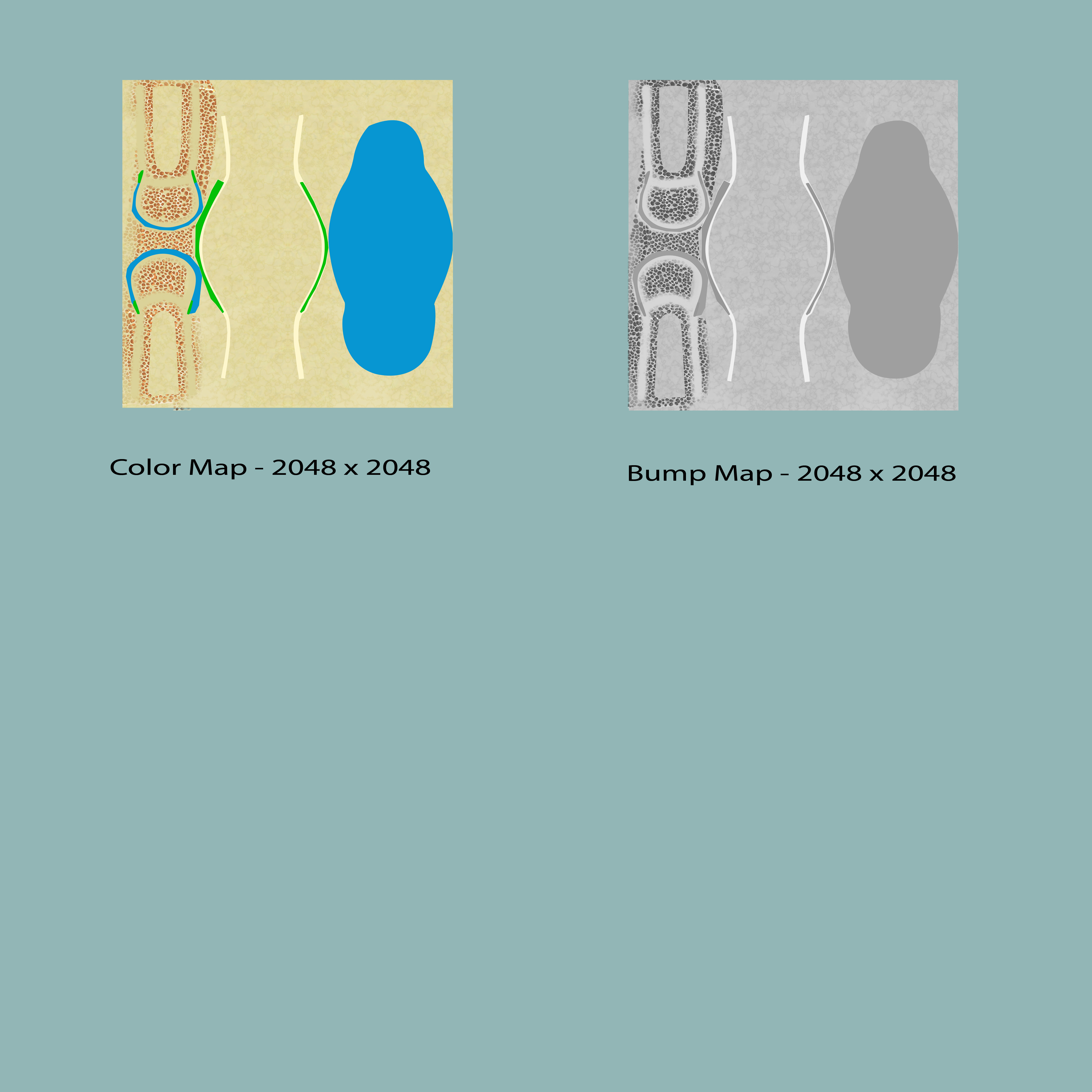 3d bone anatomy model