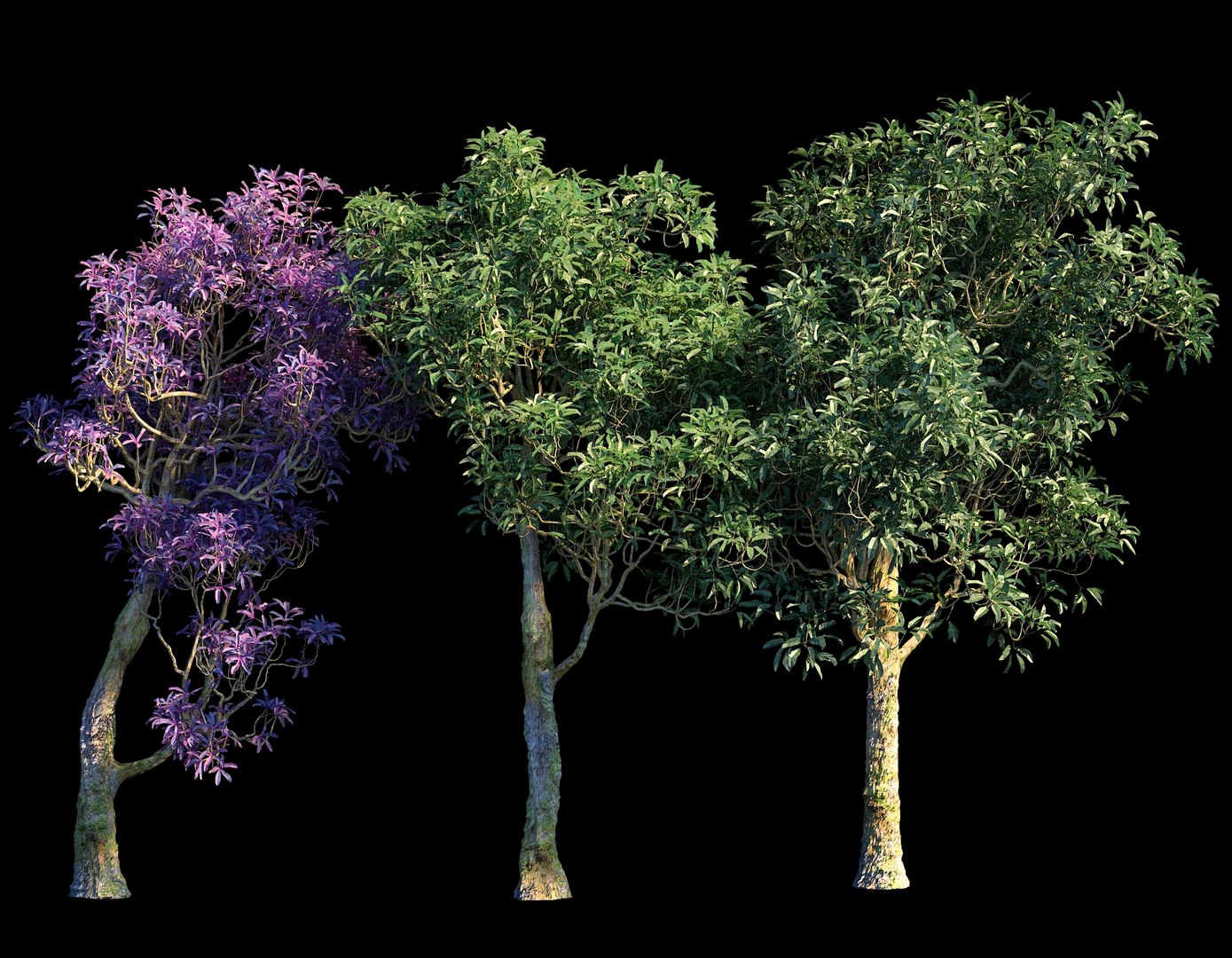 Spring Trees Pack 3D Model - TurboSquid 1551282