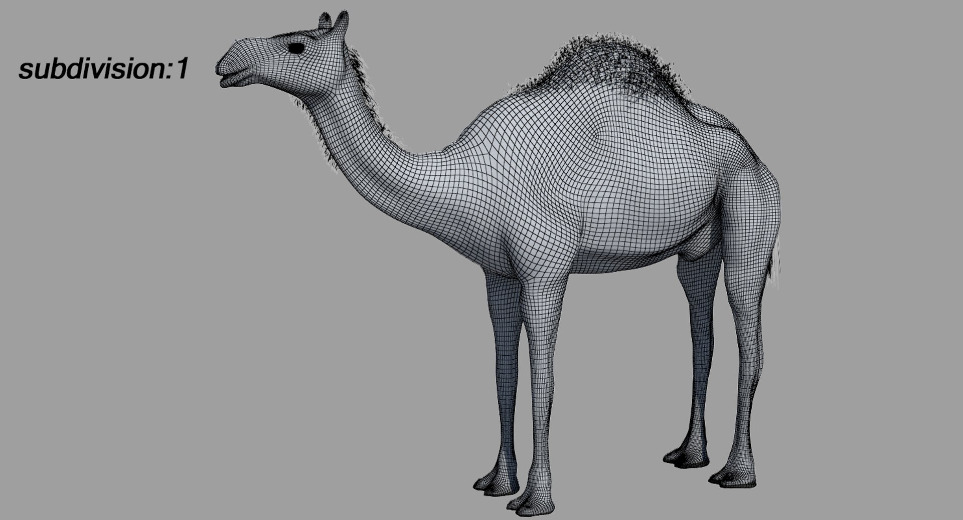 Camel Fur Rig 3D Model | 1147474 | TurboSquid